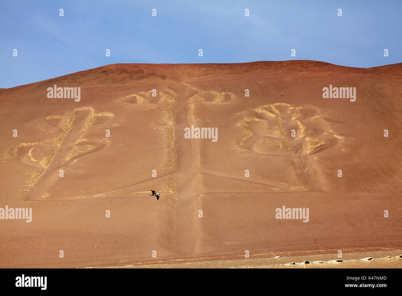 Bird and Candelabra Geoglyph, Paracas Peninsula, Paracas National ...