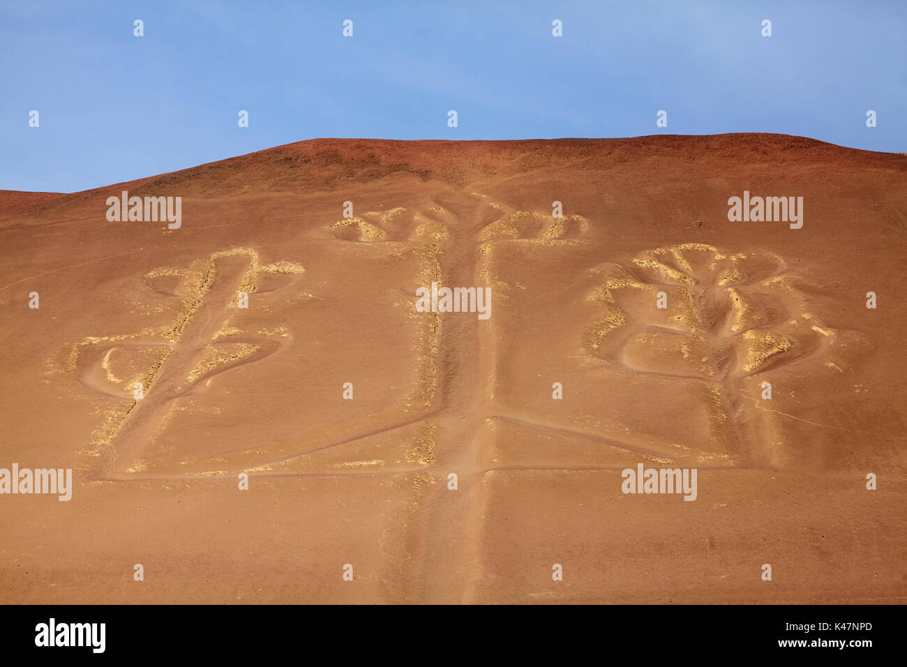 Candelabra Geoglyph, Paracas Peninsula, Paracas National Reserve, Pisco ...