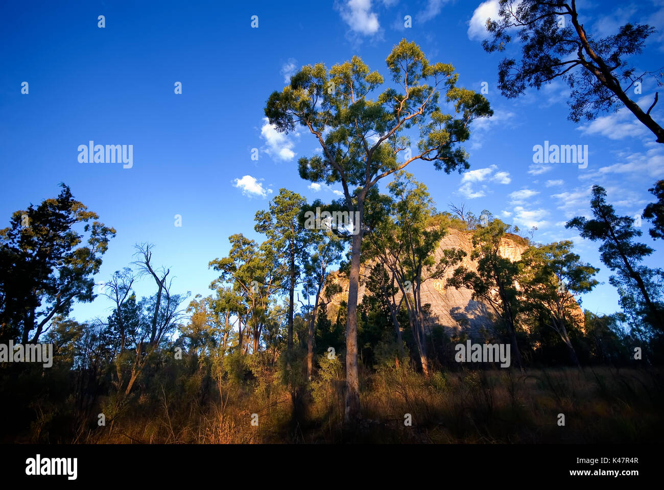 Mt Moffatt National Park Stock Photo - Alamy