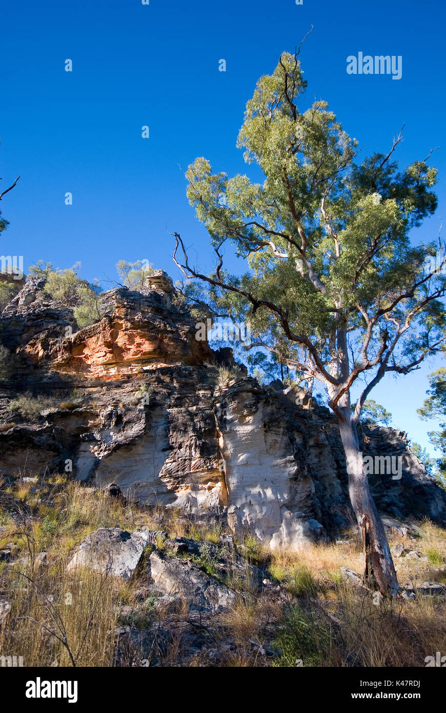 Aboriginal rock art carnarvon national hi-res stock photography and ...