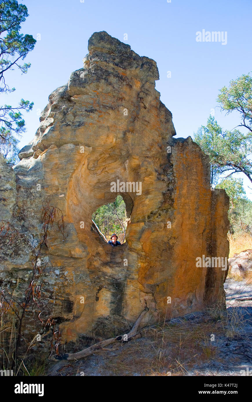 Central national park hi-res stock photography and images - Alamy