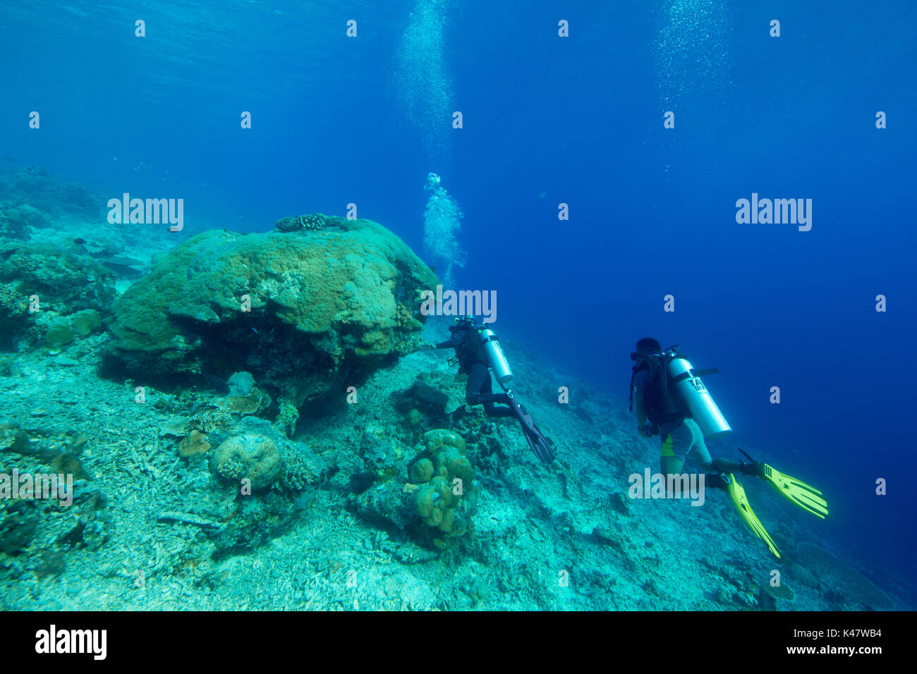Maratua island hi-res stock photography and images - Alamy
