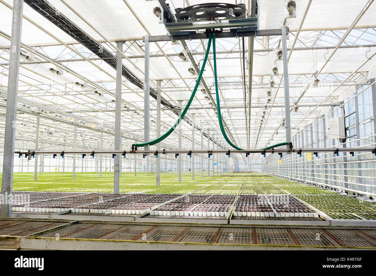 Field greenhouse hi-res stock photography and images - Alamy