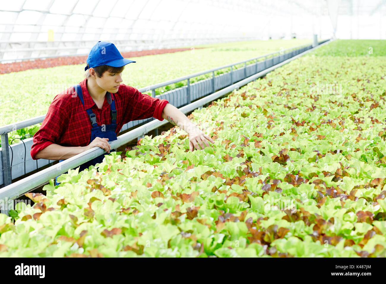 Farmer at work Stock Photo - Alamy