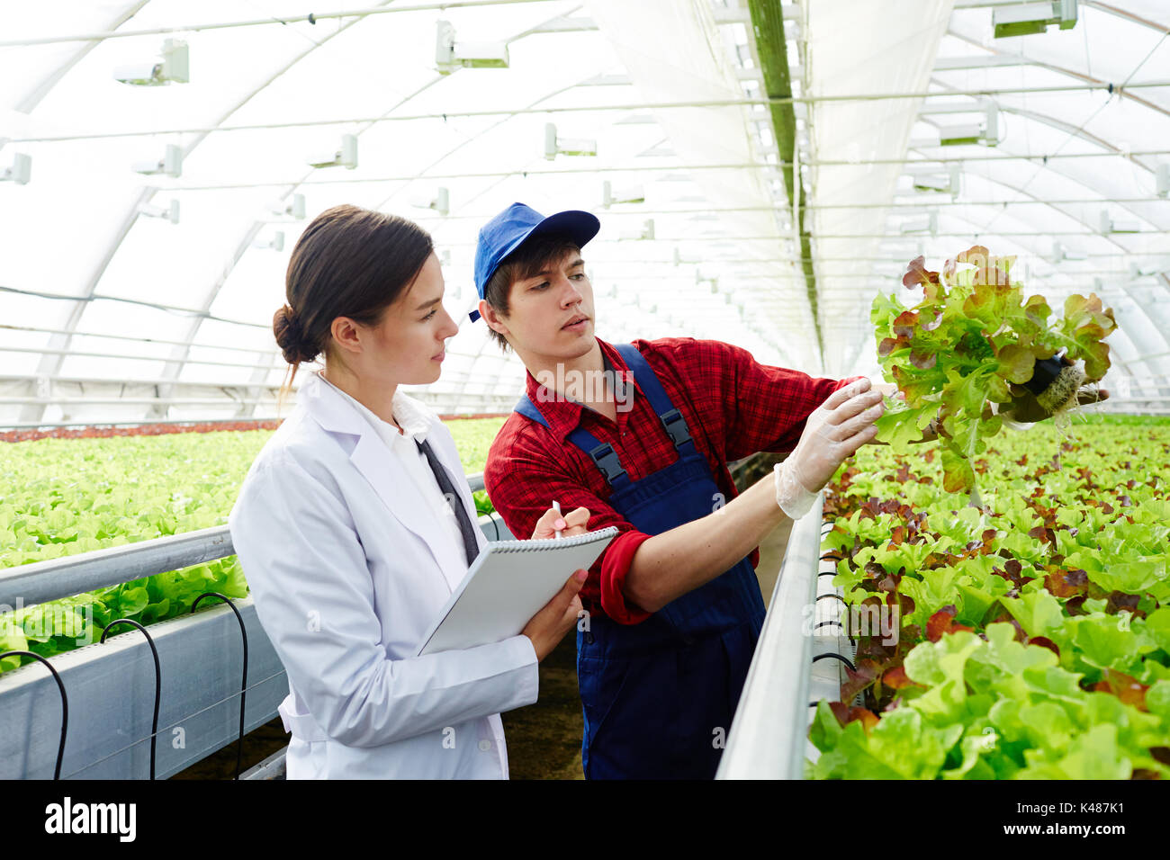 Agricultural development hi-res stock photography and images - Alamy