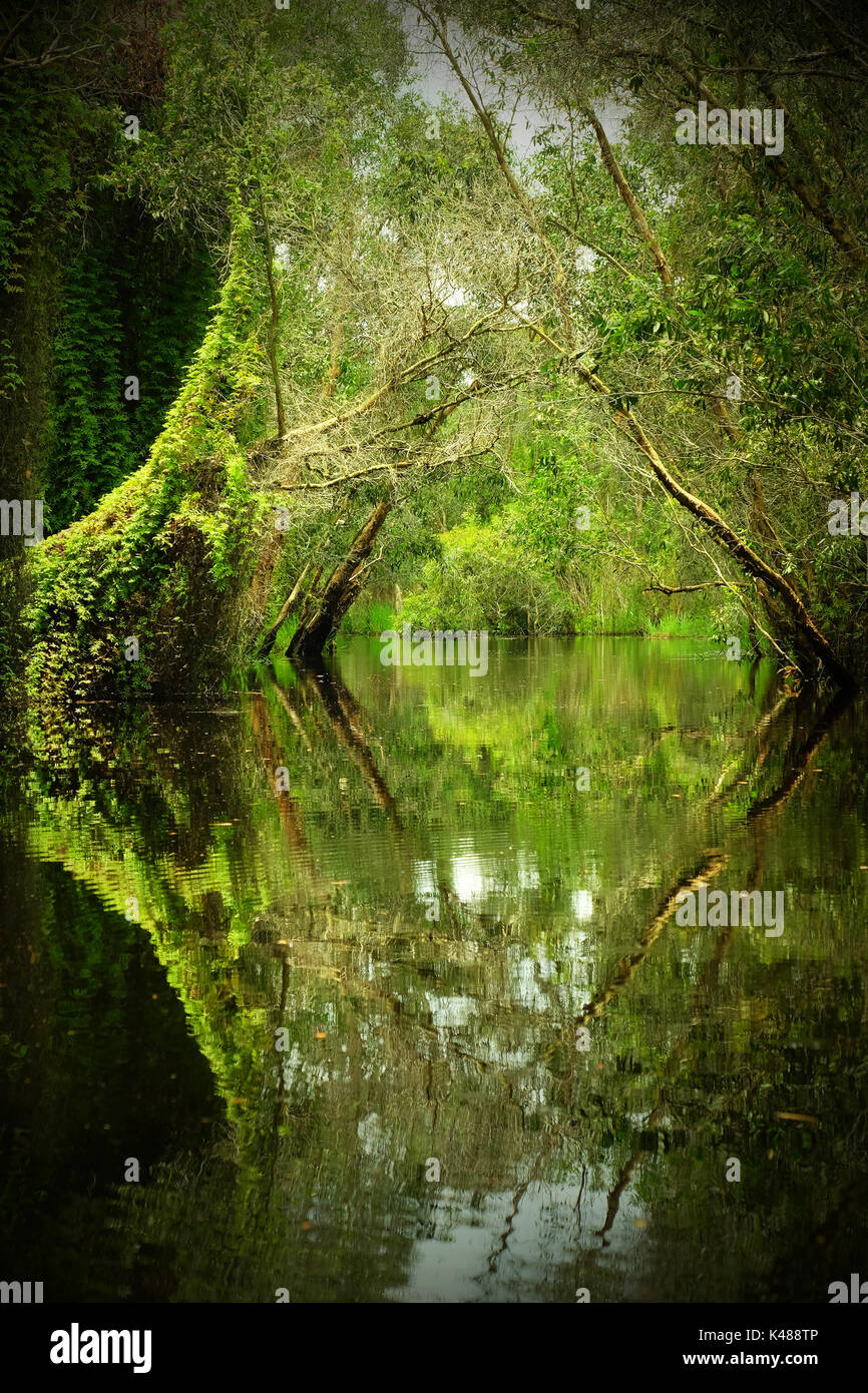 Nice scenery hi-res stock photography and images - Alamy