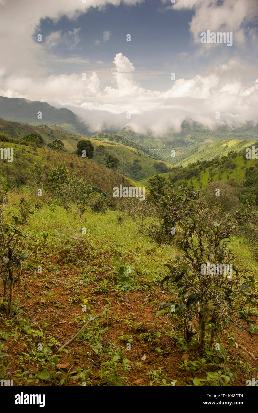 Landscape trekking from Kalaw to Inle Lake, Shan State, Myanmar, Burma ...