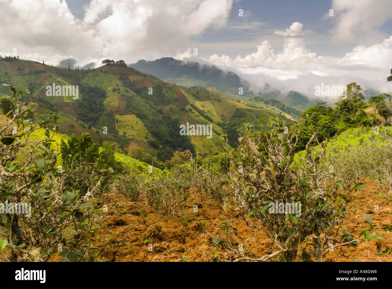 Landscape trekking from Kalaw to Inle Lake, Shan State, Myanmar, Burma ...