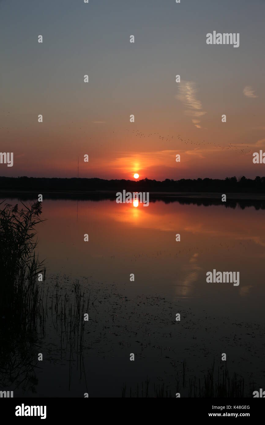 Komoka hi-res stock photography and images - Alamy