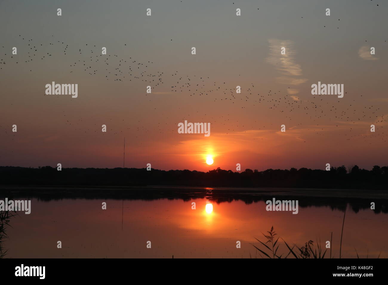 Komoka Ponds sunrise reflection Stock Photo - Alamy