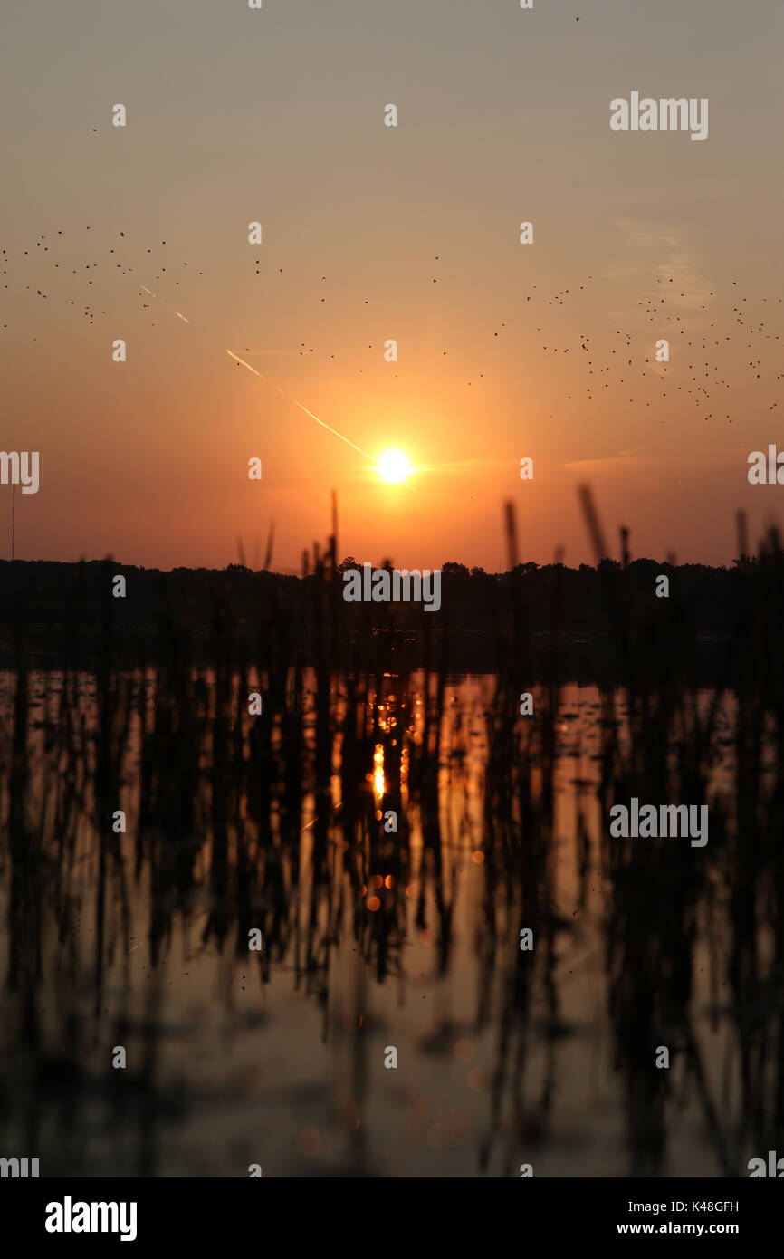 Komoka hi-res stock photography and images - Alamy