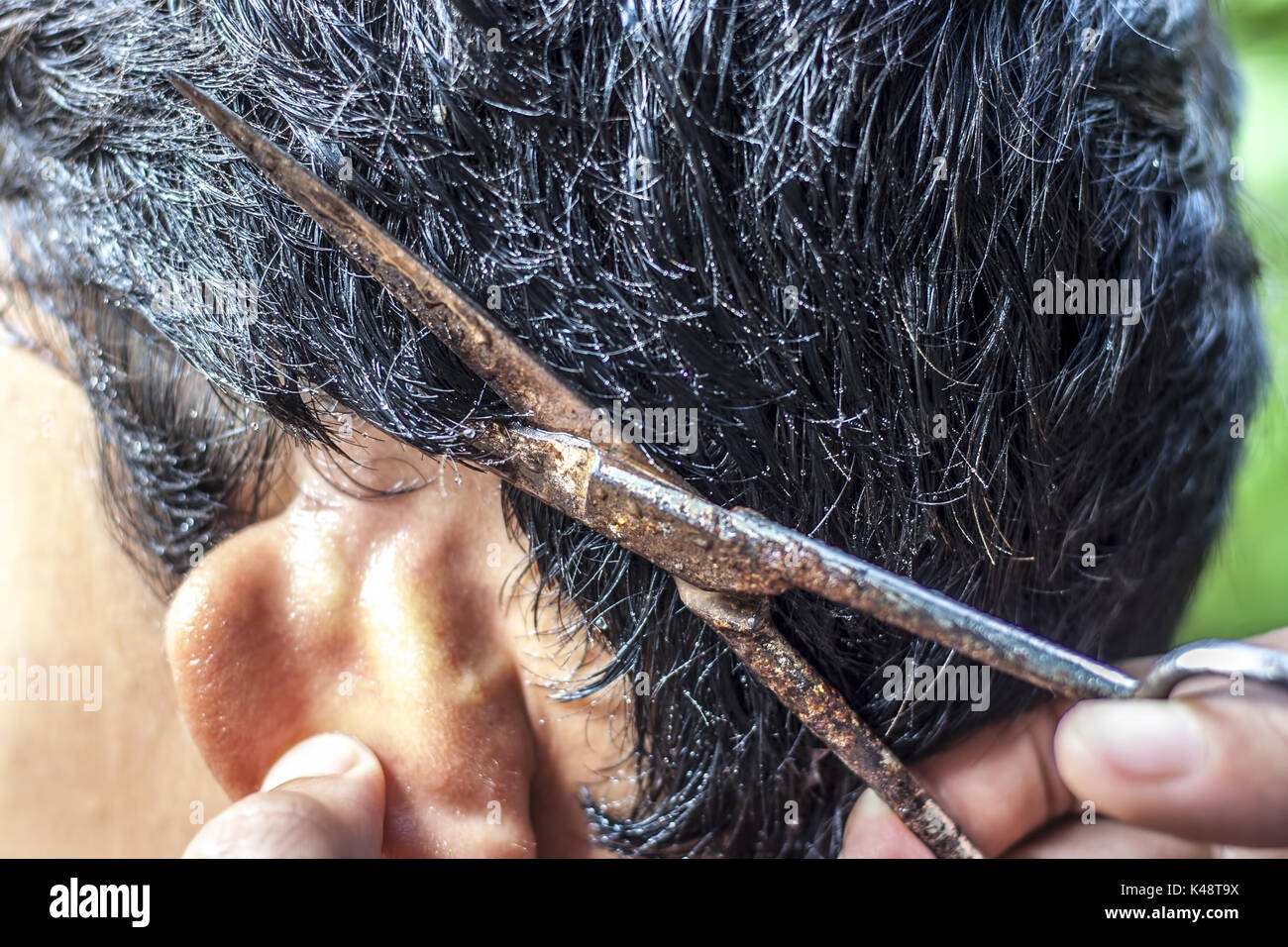 hand doing hair cut Stock Photo - Alamy