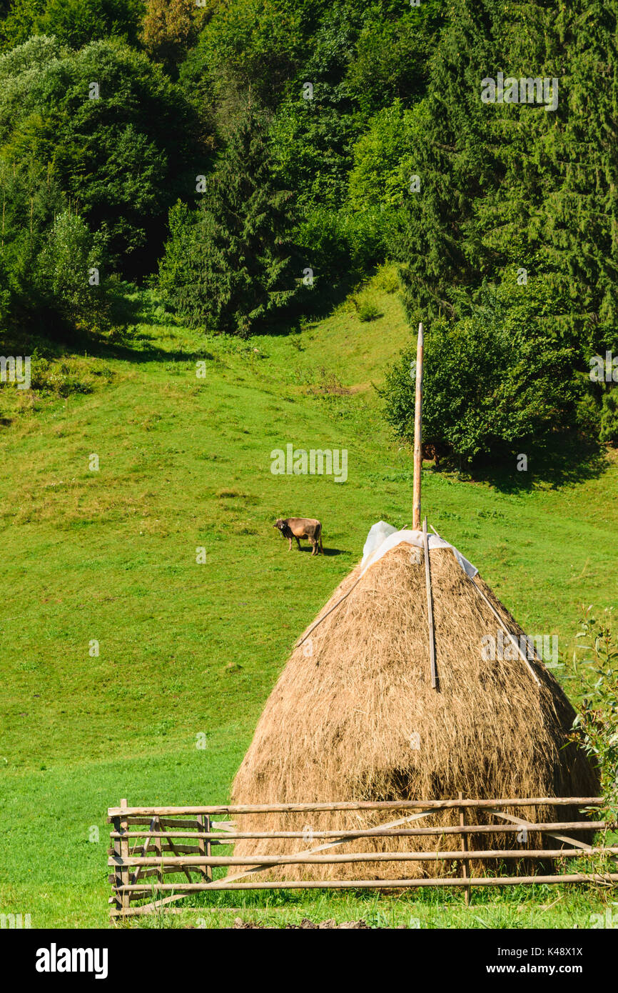 Traditional haystack hi-res stock photography and images - Alamy