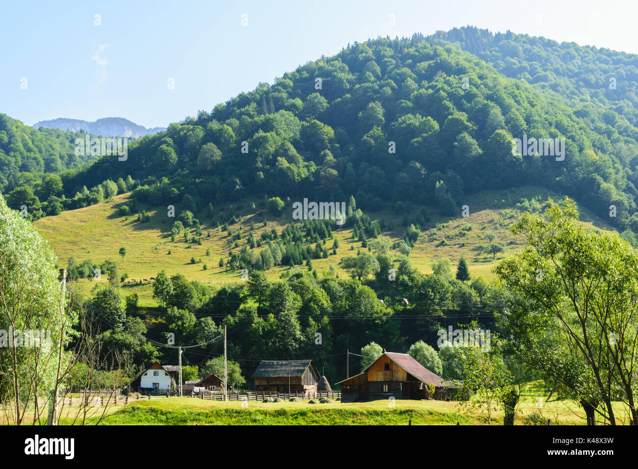old traditional house and barns in Rucar region, Romania. green hills ...
