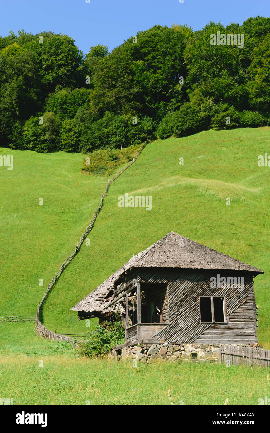 Green Grass House Background