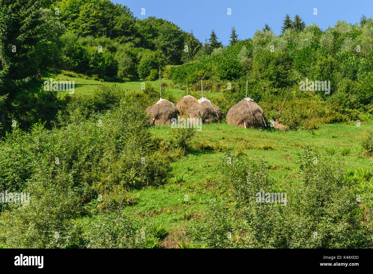 Hillside haystacks hi-res stock photography and images - Alamy