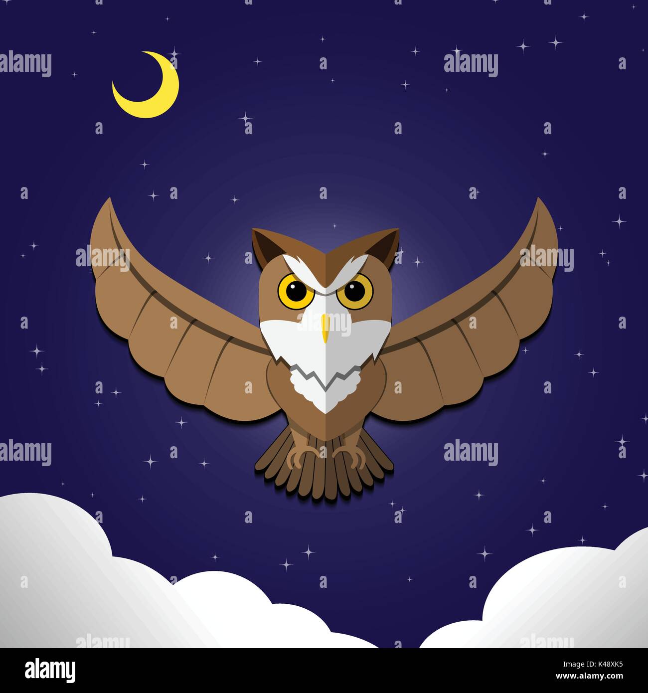 Flying Owl At Night