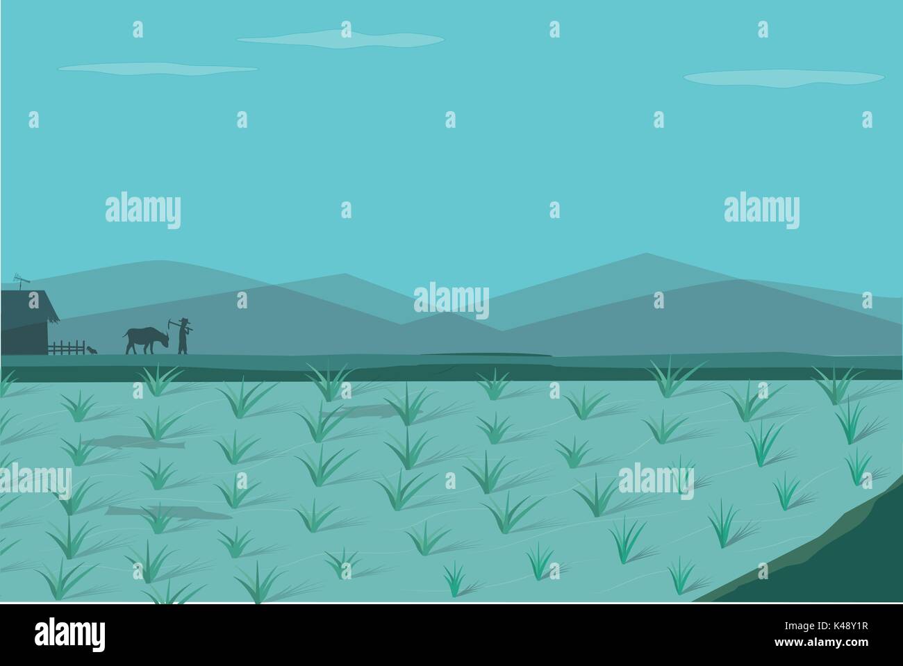 Rice field crop thailand Stock Vector Images - Alamy