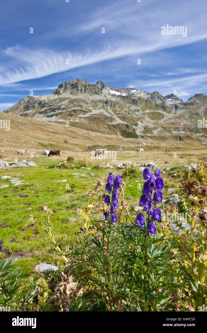 Montespluga hi-res stock photography and images - Alamy