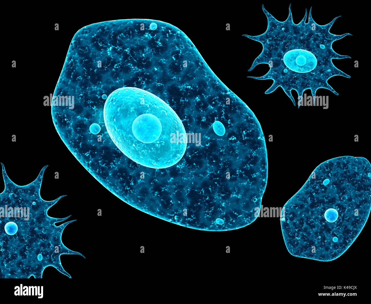 Amoebas on black background. 3d render Stock Photo - Alamy
