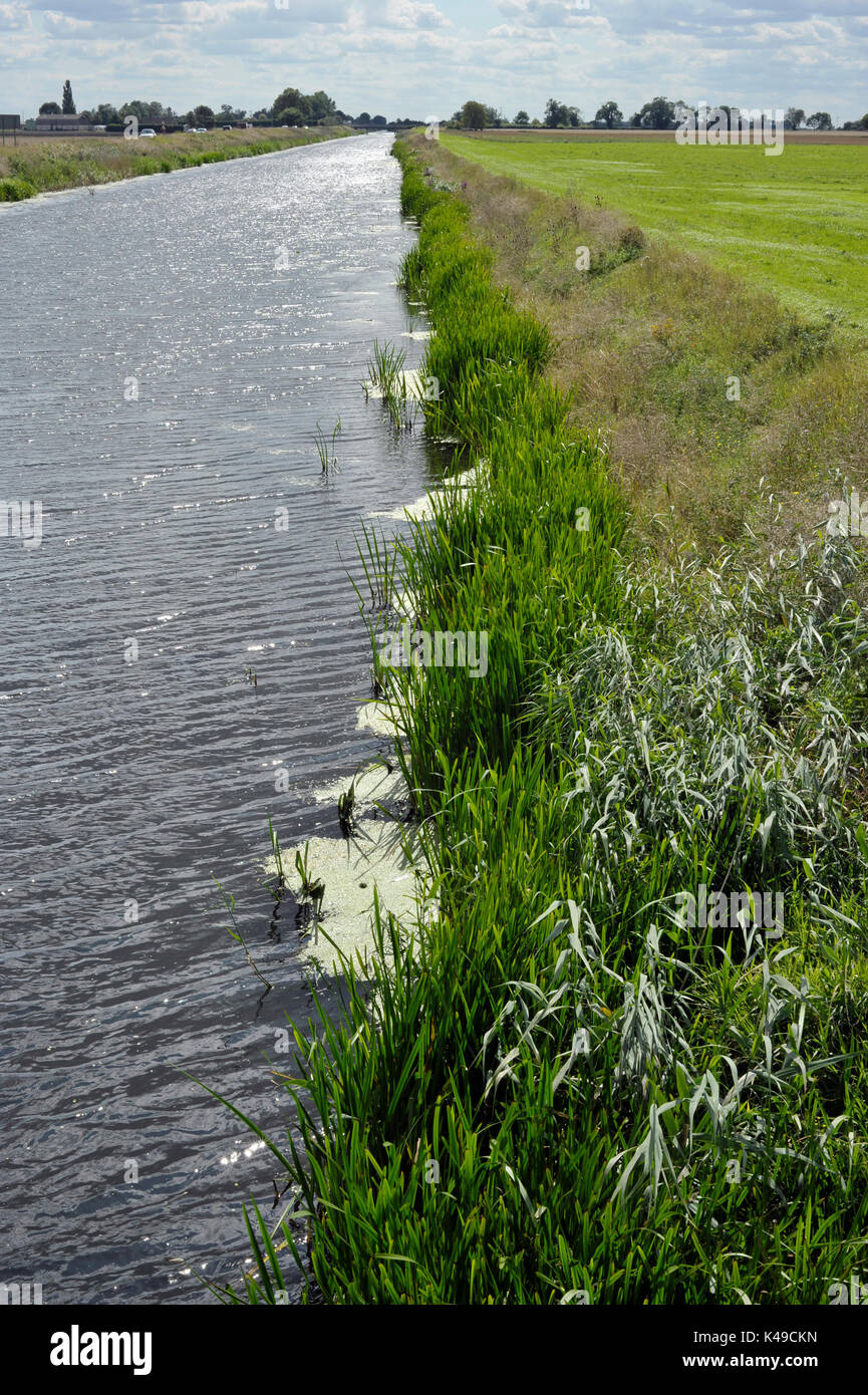 Fenland drainage channel and agricultural landscape at Sixteen Foot ...
