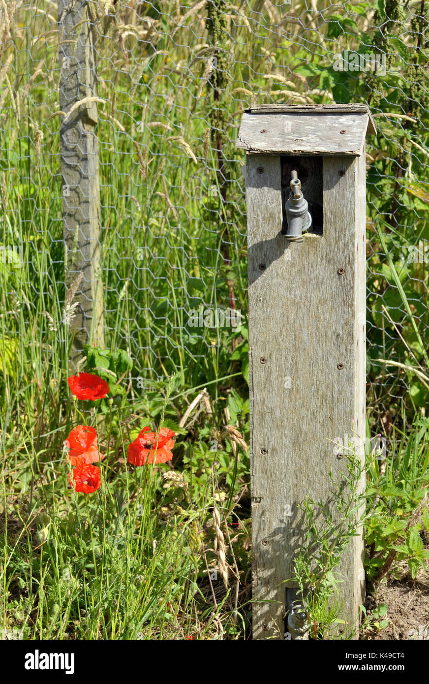 Outdoor community tap hi-res stock photography and images - Alamy