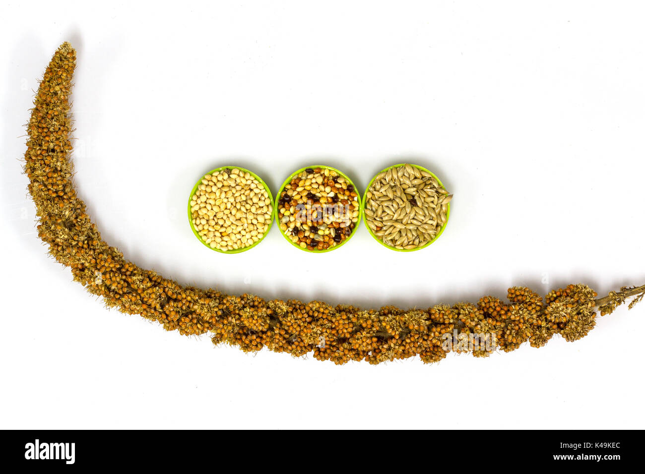 Closeup Millet dry seeds beautiful textured background Stock Photo - Alamy