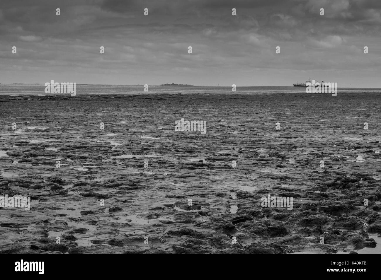 North sea ocean marine environment Black and White Stock Photos ...