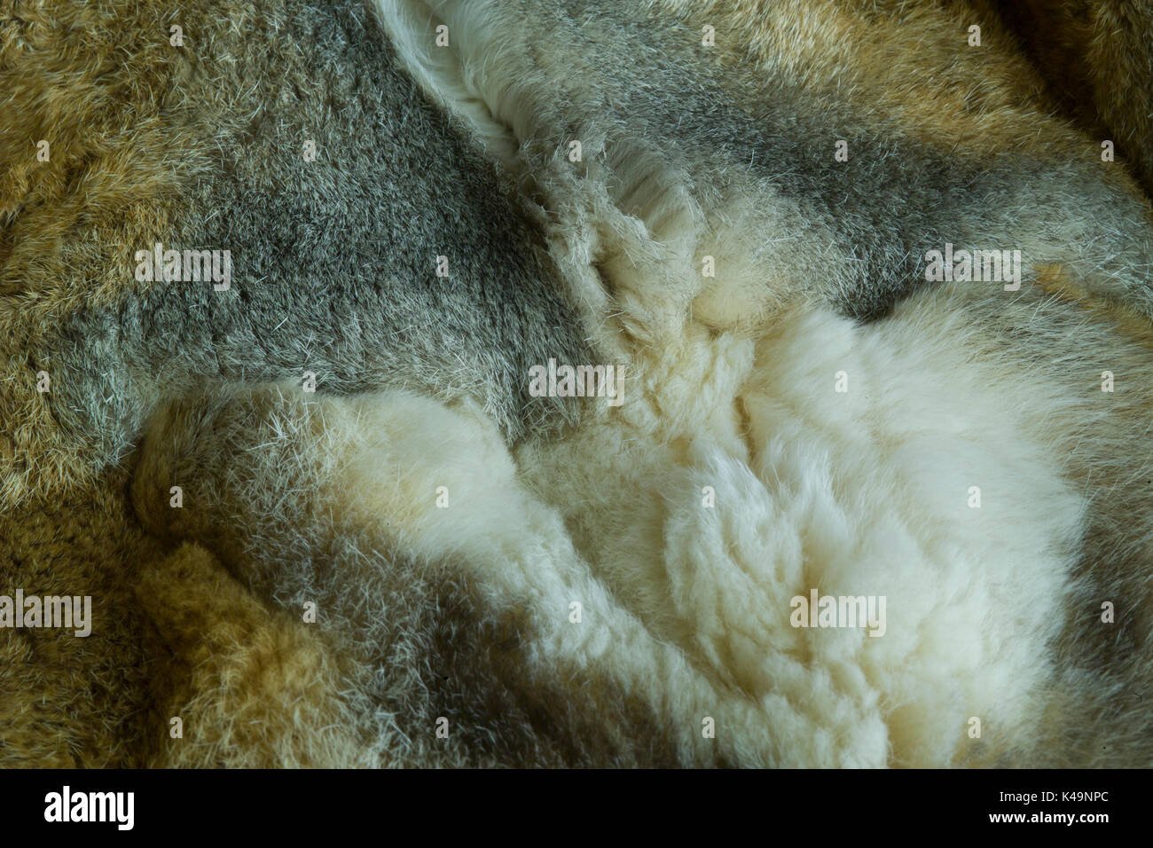 Fox Fur Fashion Stock Photos & Fox Fur Fashion Stock Images - Alamy