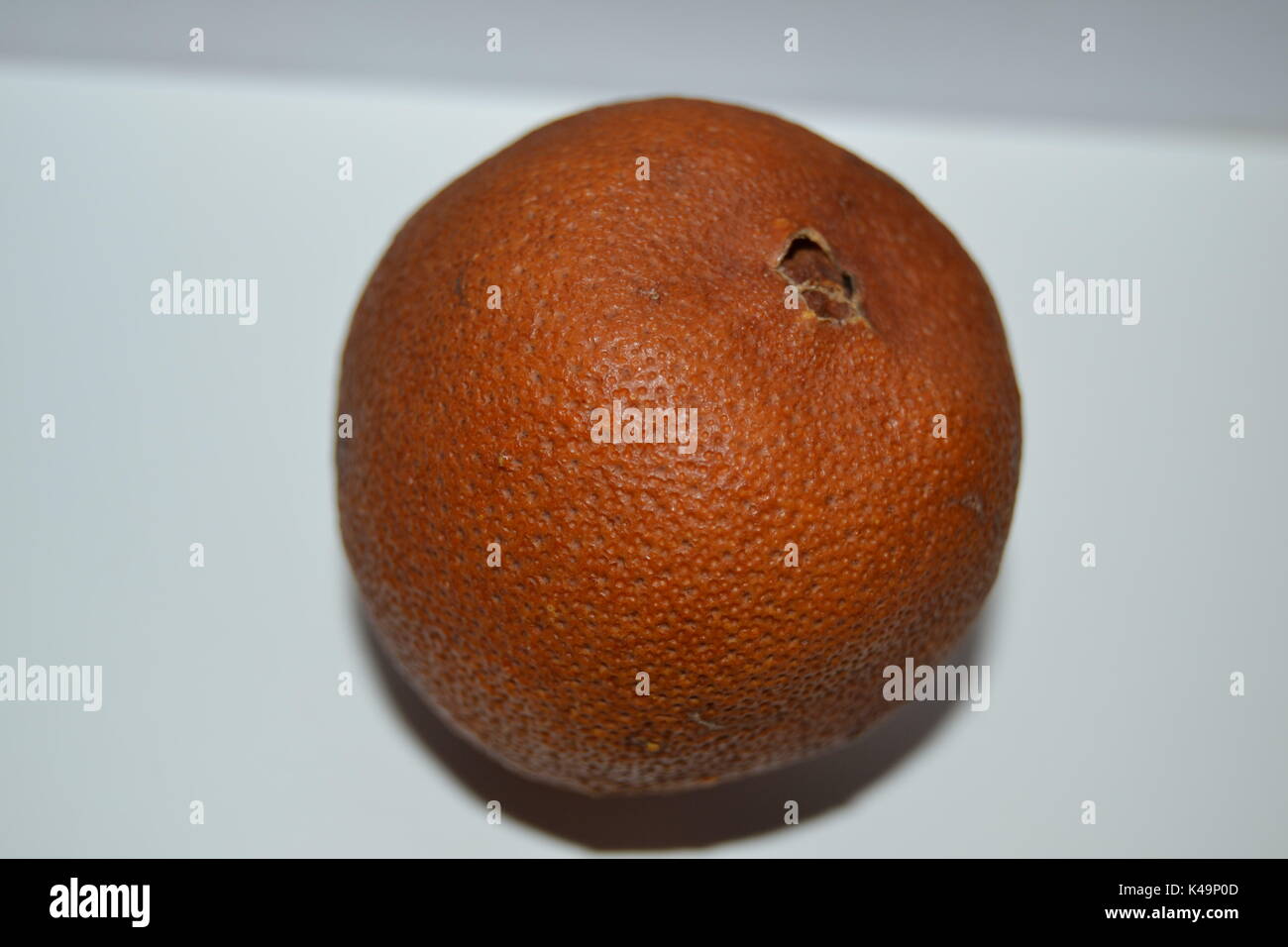 Yellow orange lobe hi-res stock photography and images - Alamy