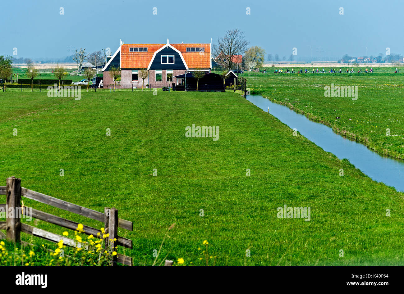 Flat Landscape With Farm House, Waterland Region, Netherlands Stock ...