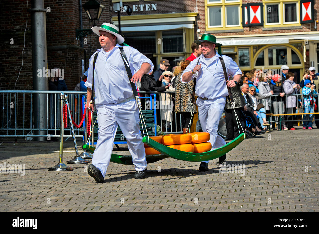 Cheese Carriers Carrying Cheese Truckles On A Wooden Stretcher At The ...