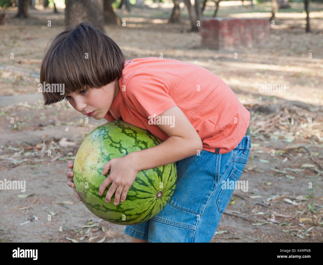 Child With Pain Countenance Picks Up A Heavy Watermelon Stock Photo - Alamy