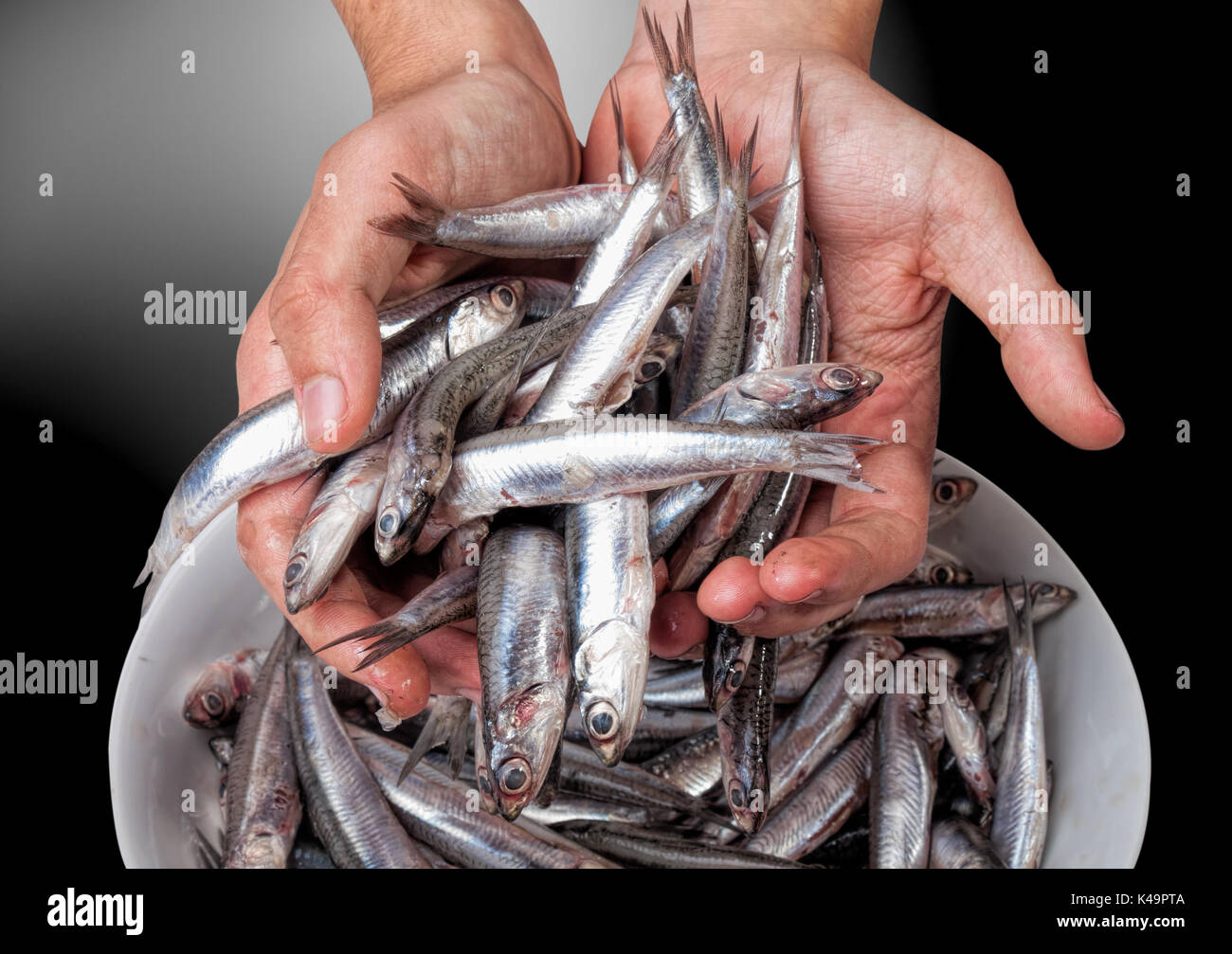 Two Hands Full Of Raw Anchovies Presenting This Kind Of Food Stock ...