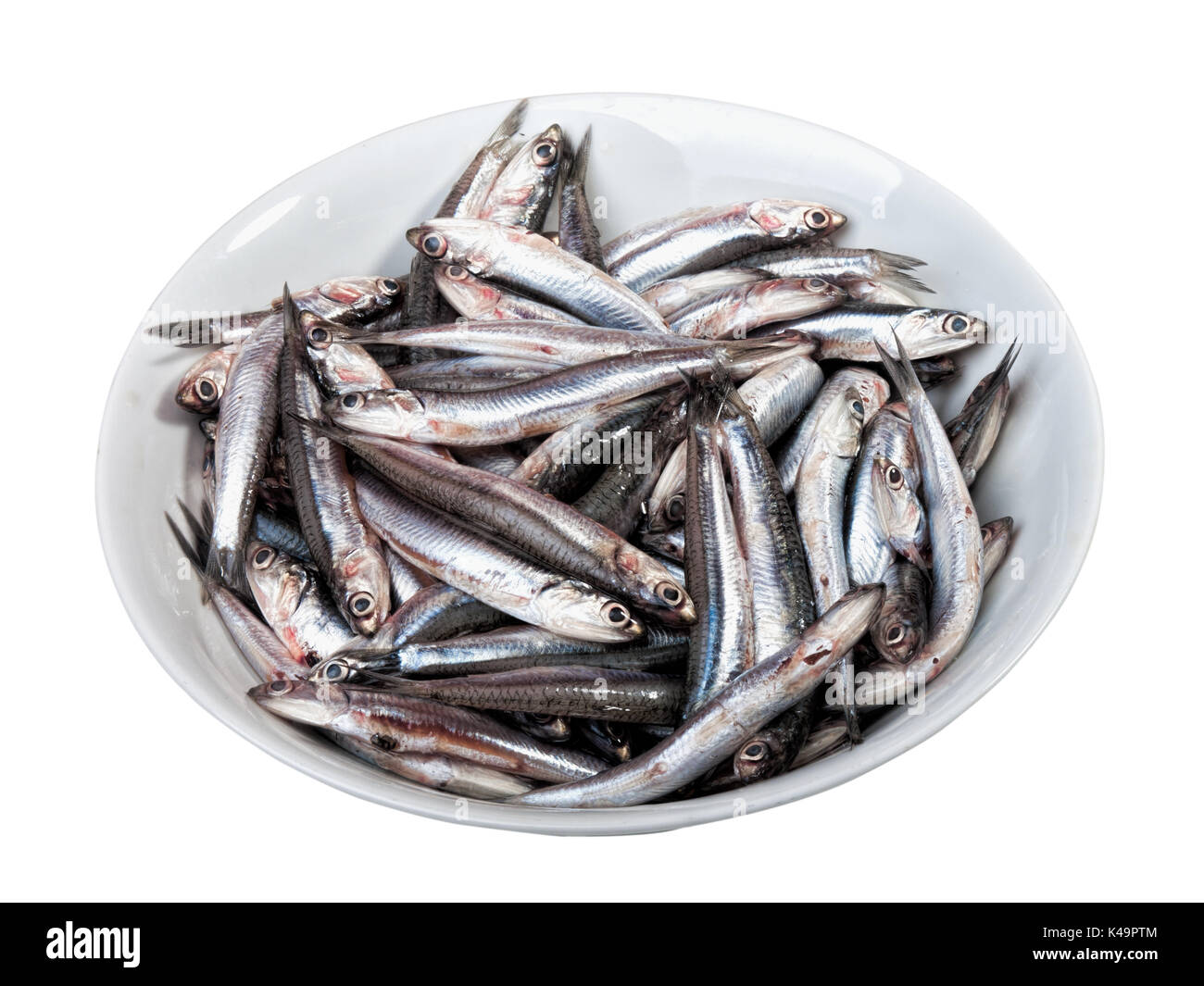 Raw Anchovies In A Plate Ready For Preparing In The Kitchen Stock Photo ...