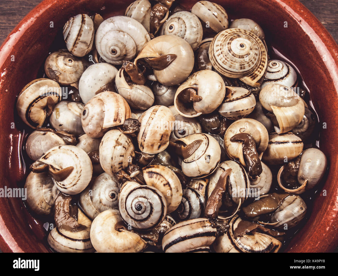 Cooked Snails, Escargots Served Rustic, Typical Spanish Tapa Stock ...
