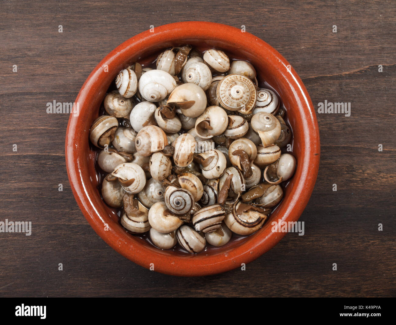 Cooked Snails, Escargots Served Rustic, Typical Spanish Tapa Stock ...