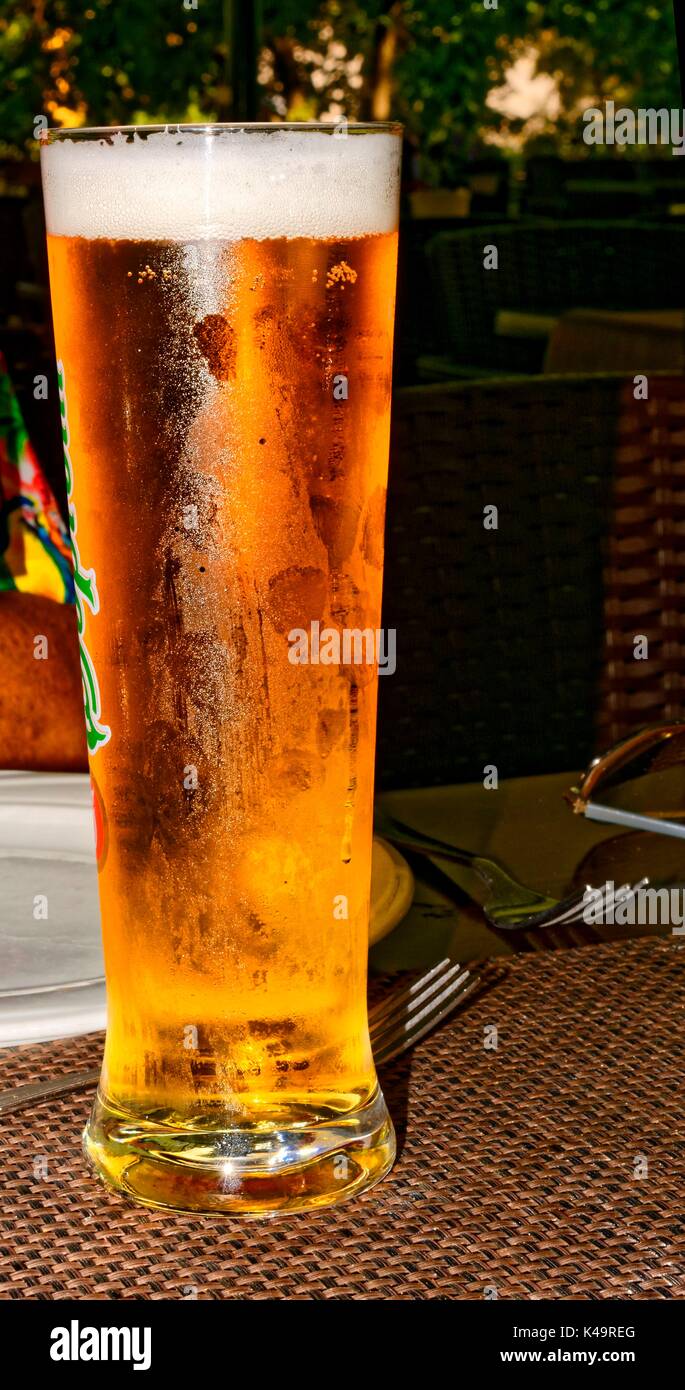 Glass fresh lager beer hi-res stock photography and images - Alamy