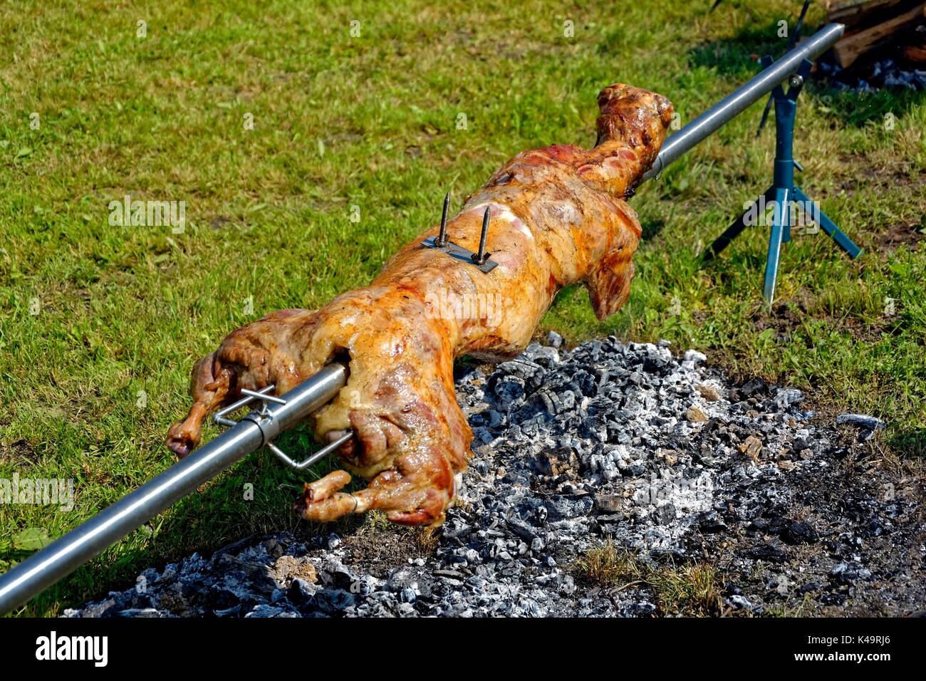 Outdoor Grill A Lamb Over Bringing Coal To The Rotisserie Stock Photo ...