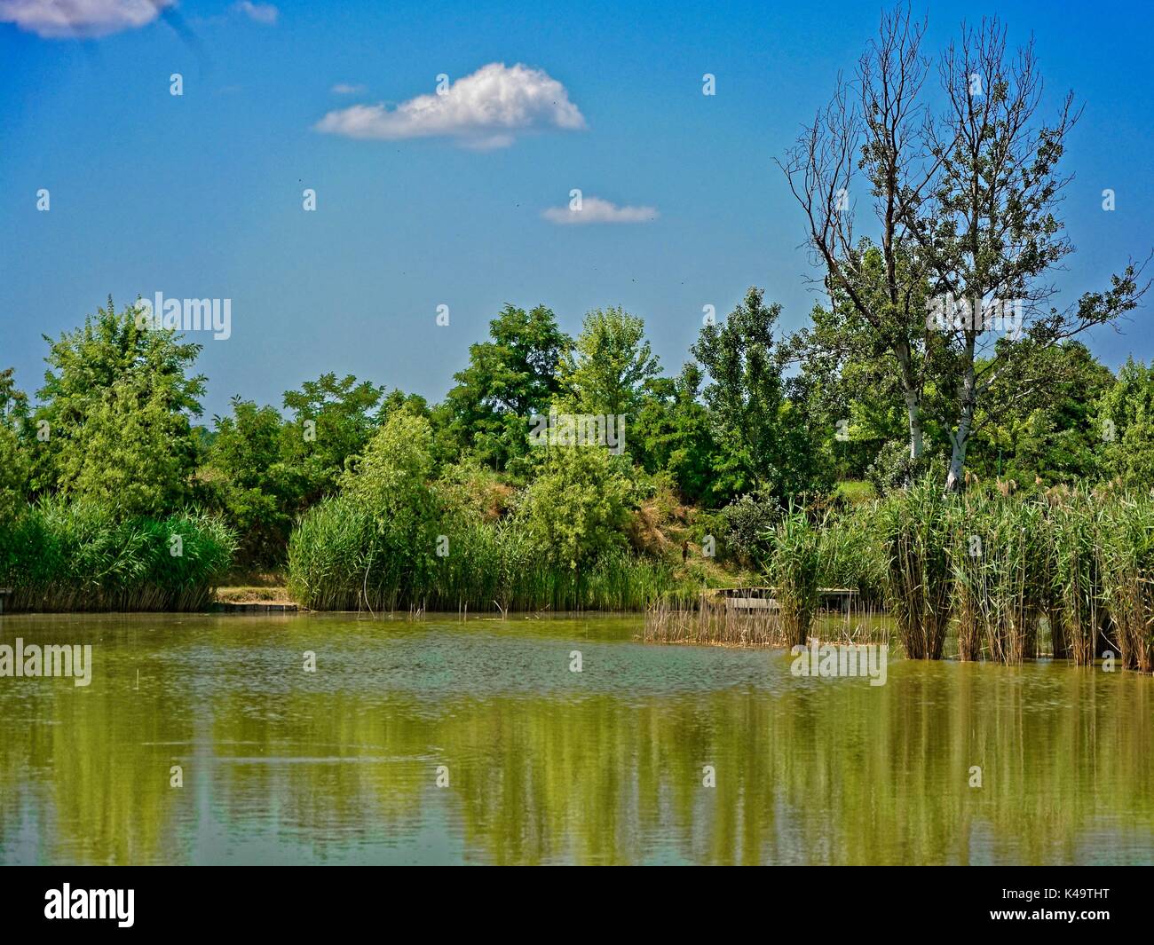 Feucht hi-res stock photography and images - Alamy