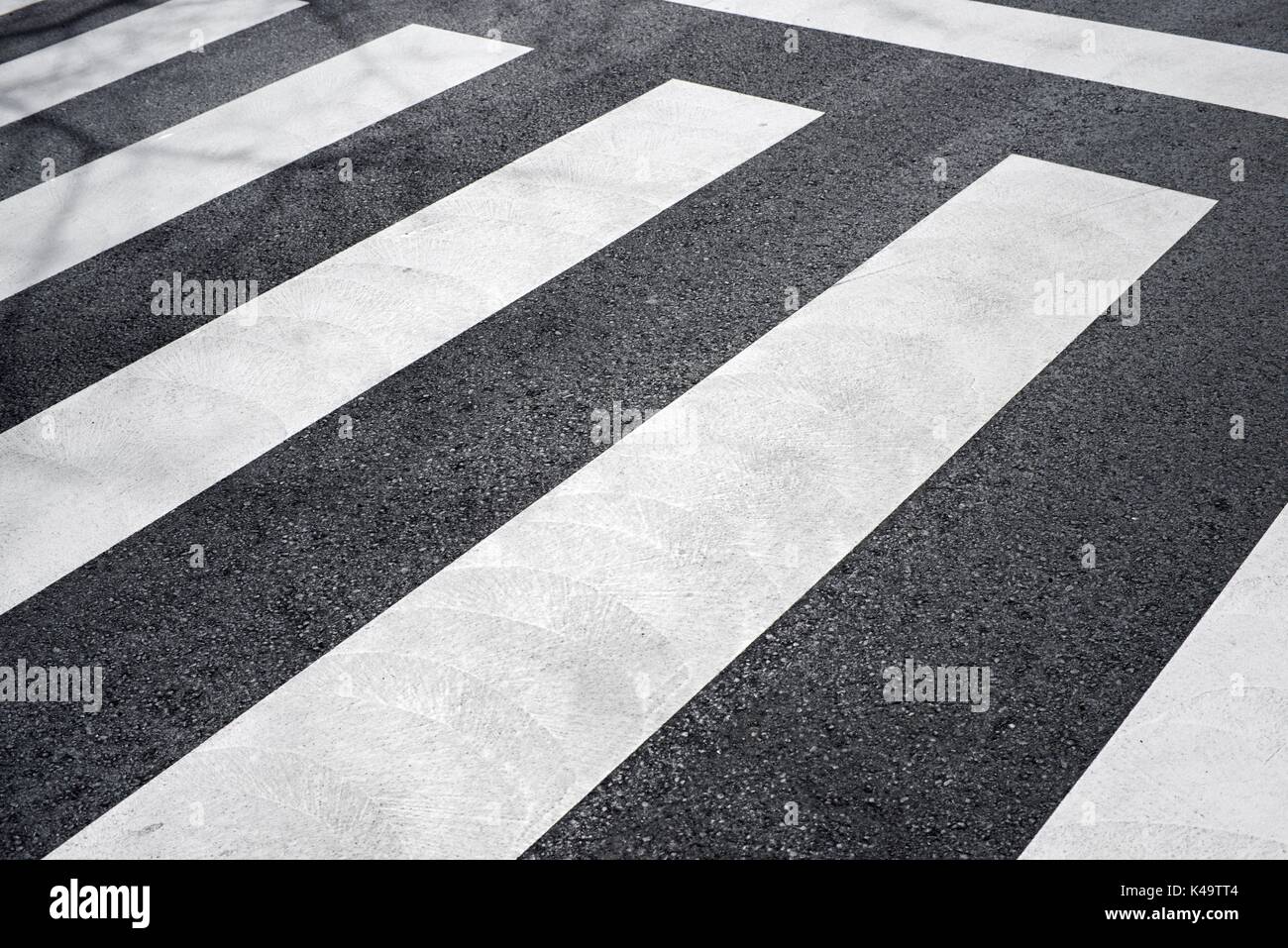 Zebra crossing without anyone crossing it Stock Photo - Alamy
