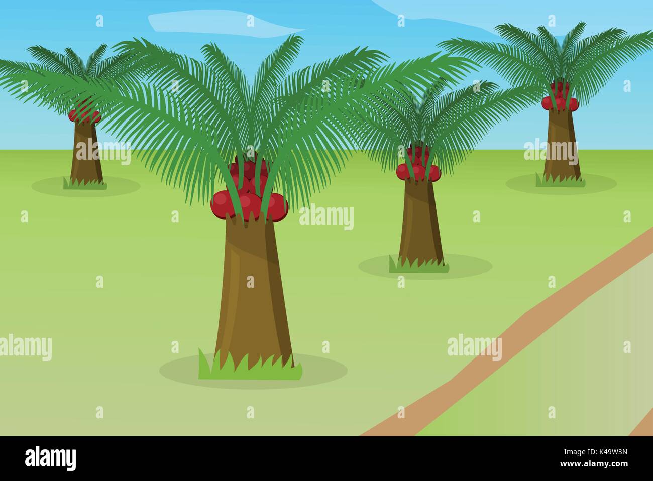 Palm Oil Tree Vector