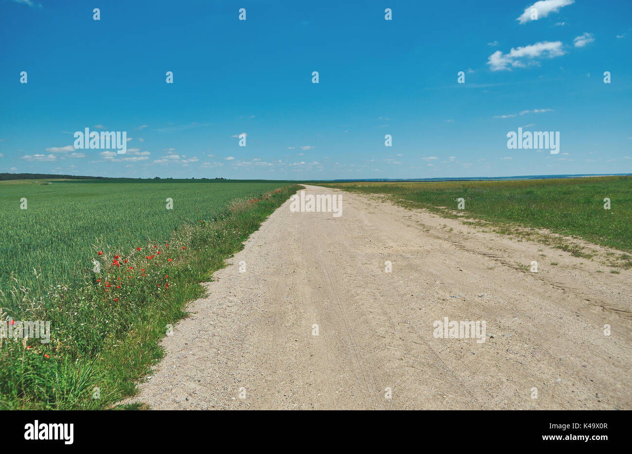 Belarusian Country road in the field Stock Photo - Alamy