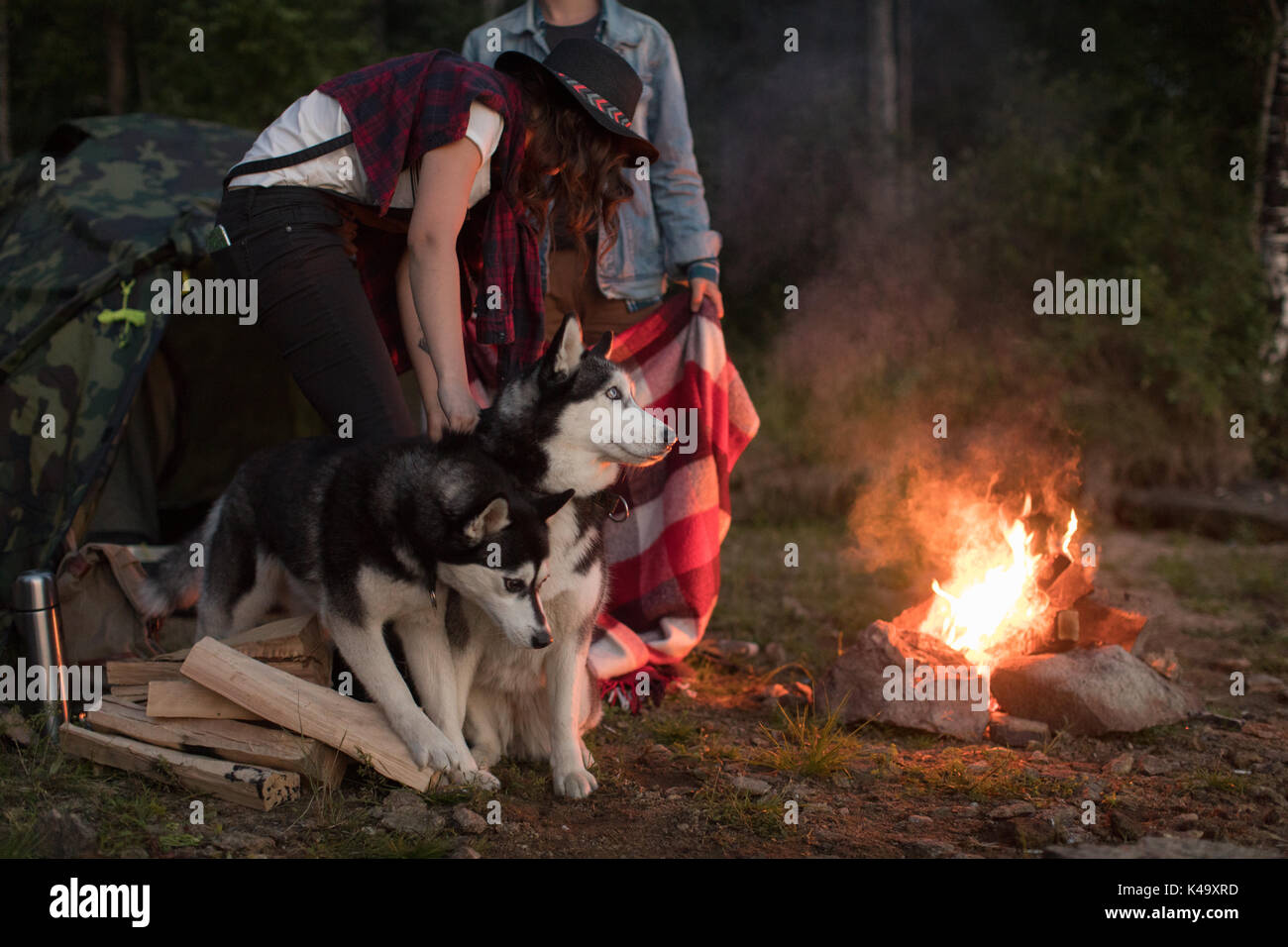 Dog sits by the fire with the hosts and Husky Stock Photo - Alamy