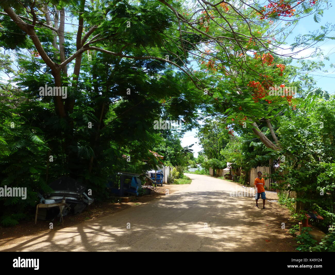 The Philippines...A few interesting things in and around the ...