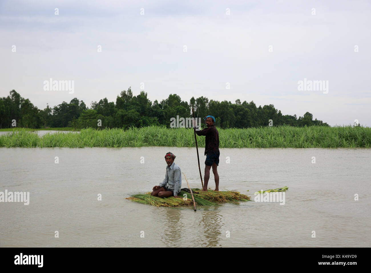 Men carrying livestock feeds on a banana raft through flood water at ...