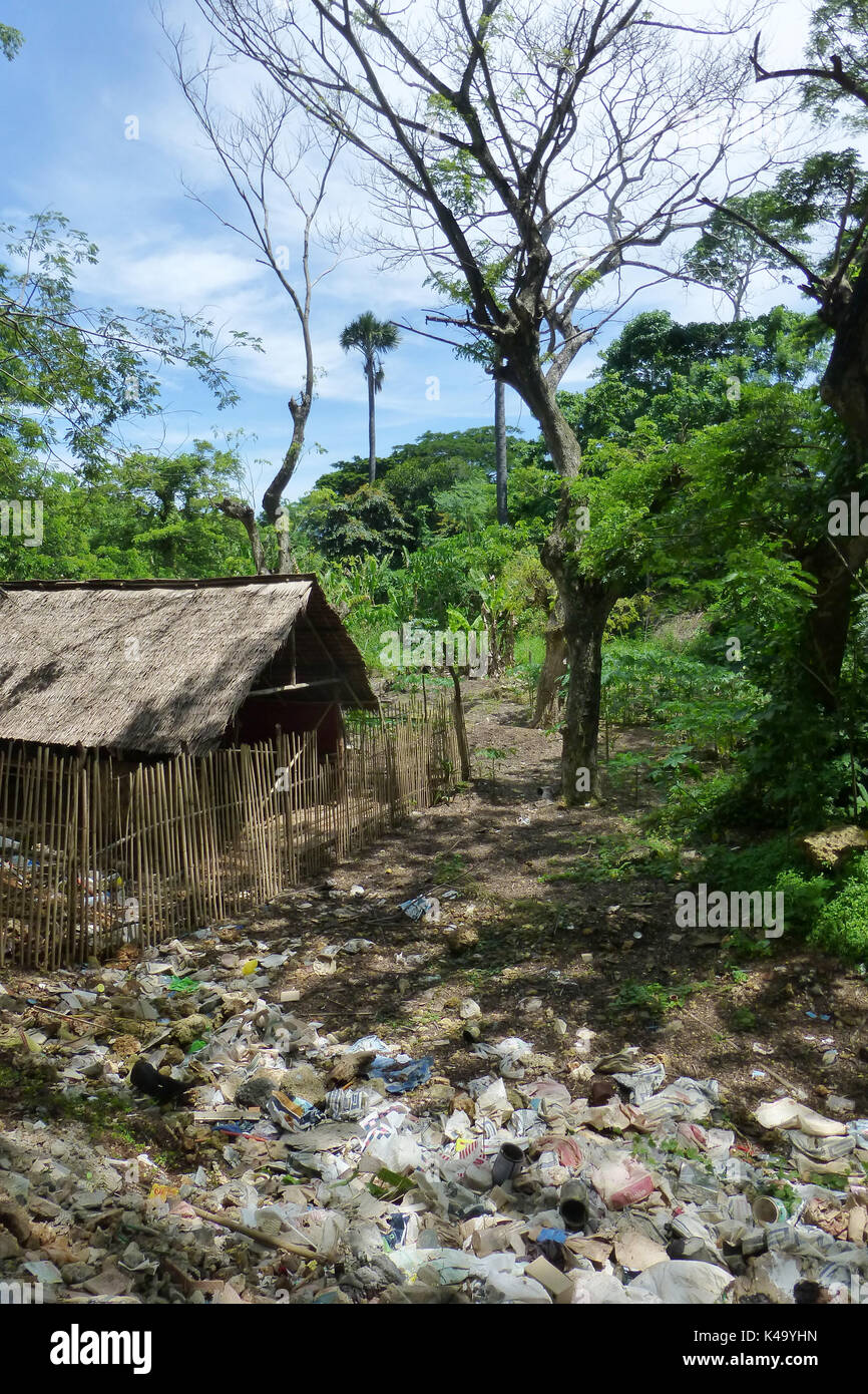 The Philippines...A few interesting things in and around the ...