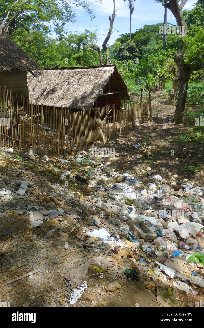 The Philippines...A few interesting things in and around the ...