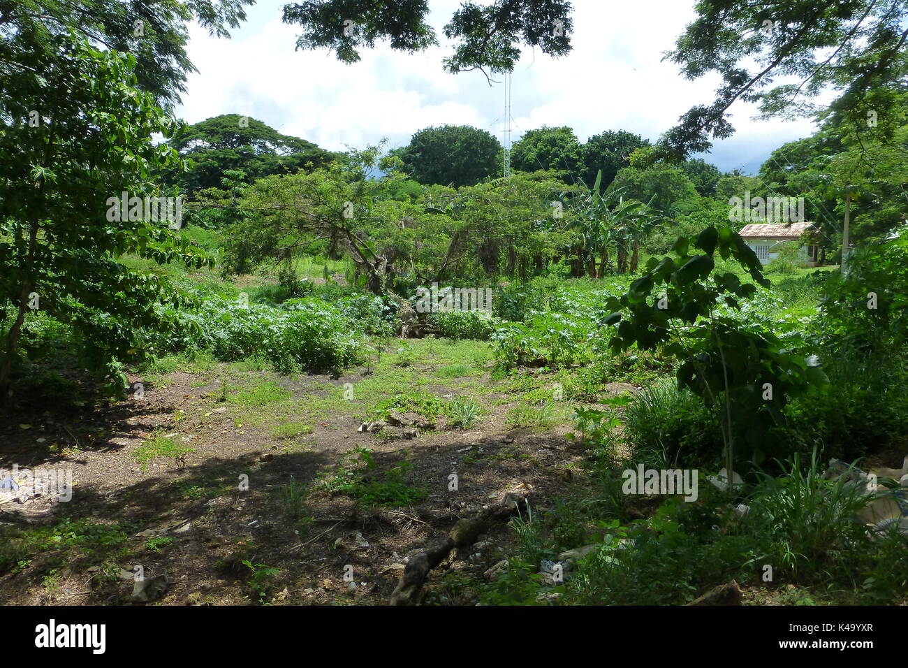 The Philippines...A few interesting things in and around the ...