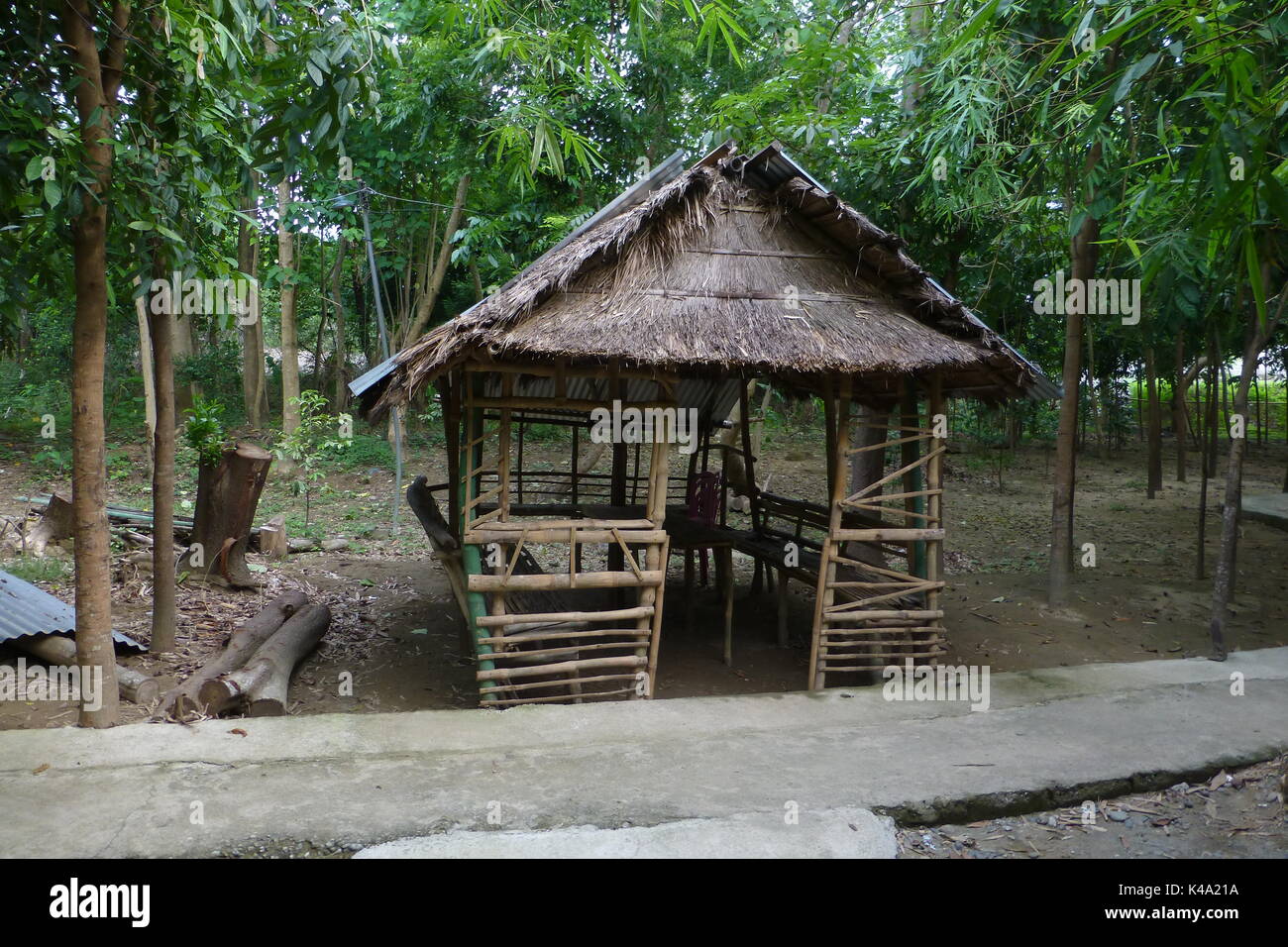 Plants and flowers from the philippines hi-res stock photography and ...